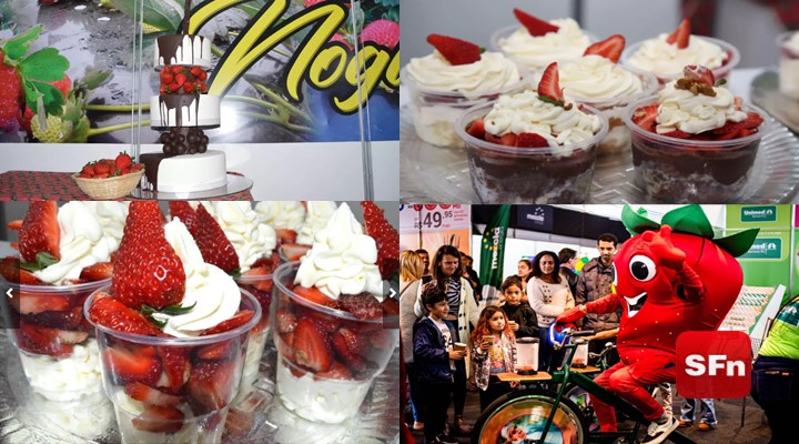 Combinação irresistível: Festa do Morango com Chocolate começa nesta ...